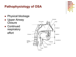 OSA_IN_ADULTS_FINAL | PPT