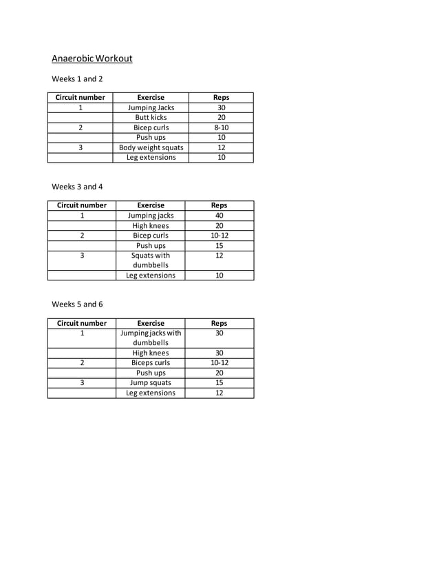 Anaerobic and aerobic workout program | DOCX