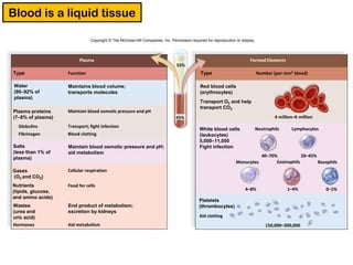 Comprehensive Overview of Human Organ Systems and Homeostasis ...