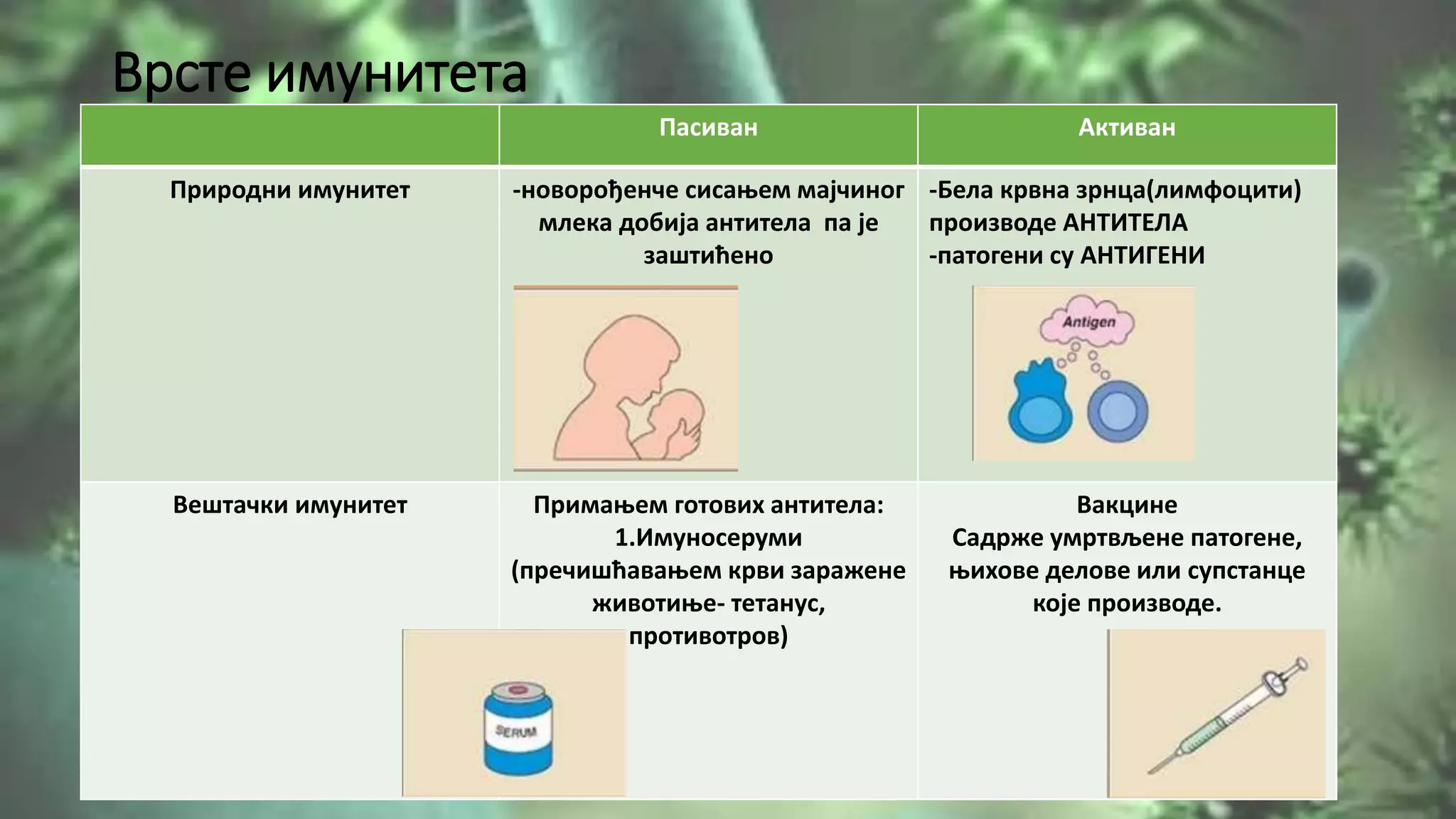 Imunitet_i_vaktsine.ppt