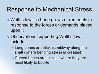 Fracture- its types and process of bone healing. | PPT