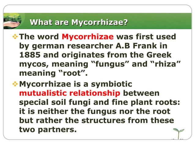 Mycorrhizae | PDF | Gardening | Home & Garden