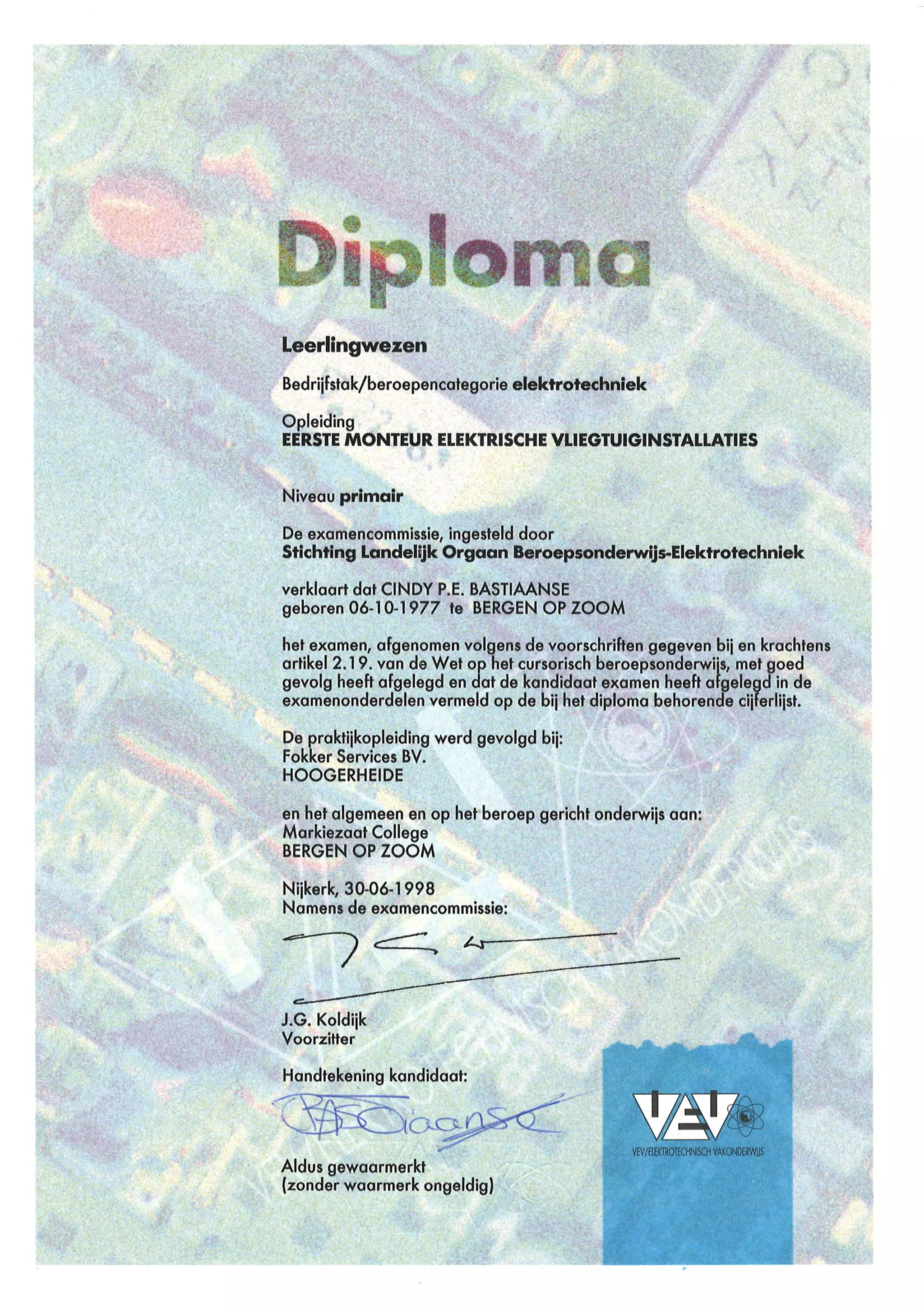 Diploma VEV EMVI.PDF