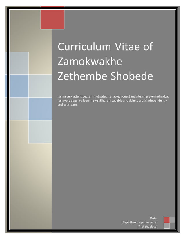 Zamos cv | PDF