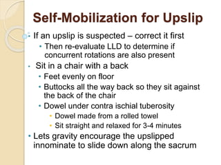 Discerning the Pelvis | PPTX