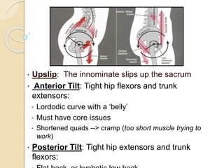 Discerning the Pelvis | PPTX