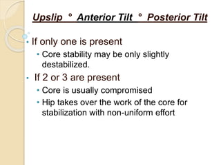 Discerning the Pelvis | PPTX