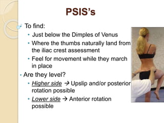 Discerning the Pelvis | PPTX