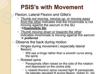Discerning the Pelvis | PPTX