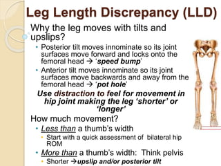 Discerning the Pelvis | PPTX