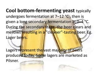 Beer PPT Training | PPTX | Alcoholic Beverages | Food & Drink