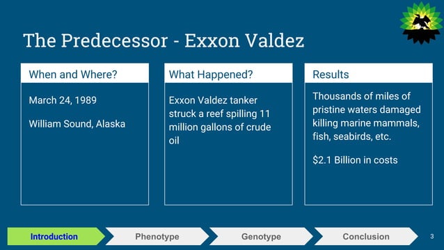 Deepwater Horizon Case Slides | PDF | Geology | Science