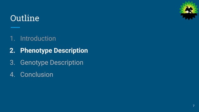 Deepwater Horizon Case Slides | PDF | Geology | Science