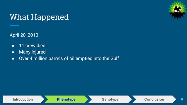 Deepwater Horizon Case Slides | PDF | Geology | Science
