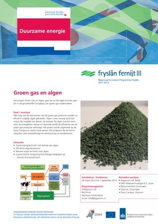 factsheet_groen_gas_en_algen | PDF
