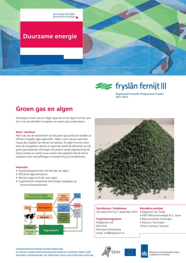 factsheet_groen_gas_en_algen | PDF