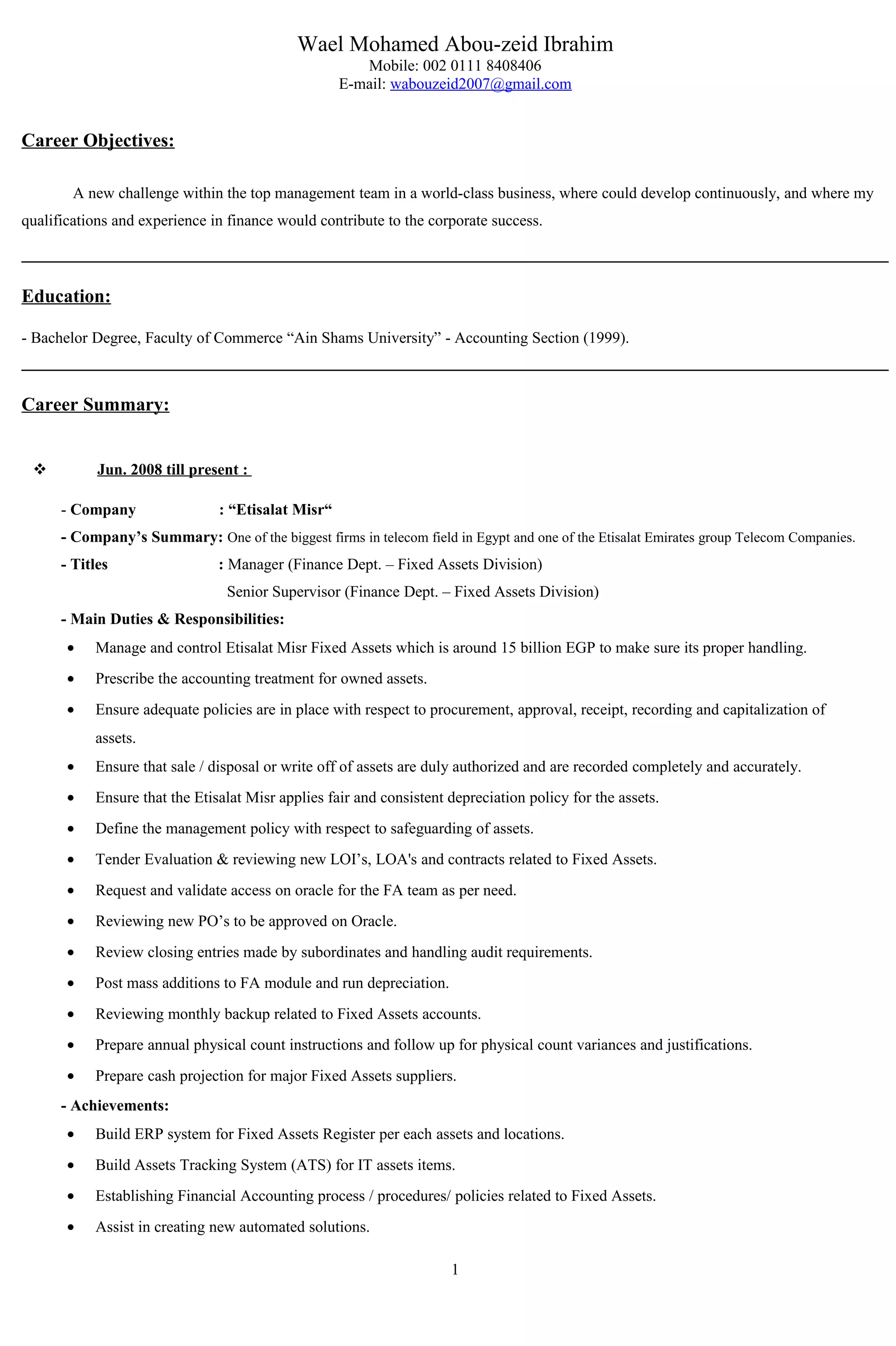 Wael Abou-zeid CV | DOC | Business Accounting & Finance | Business