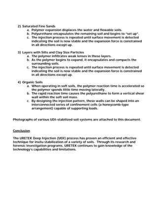 UDI White Paper - Dr Brown - 2010 | PDF