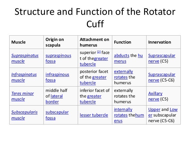 Rotator Cuff Evaluation