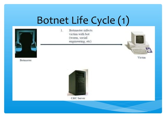 BotNet Attacks | PPT | Internet | Computing