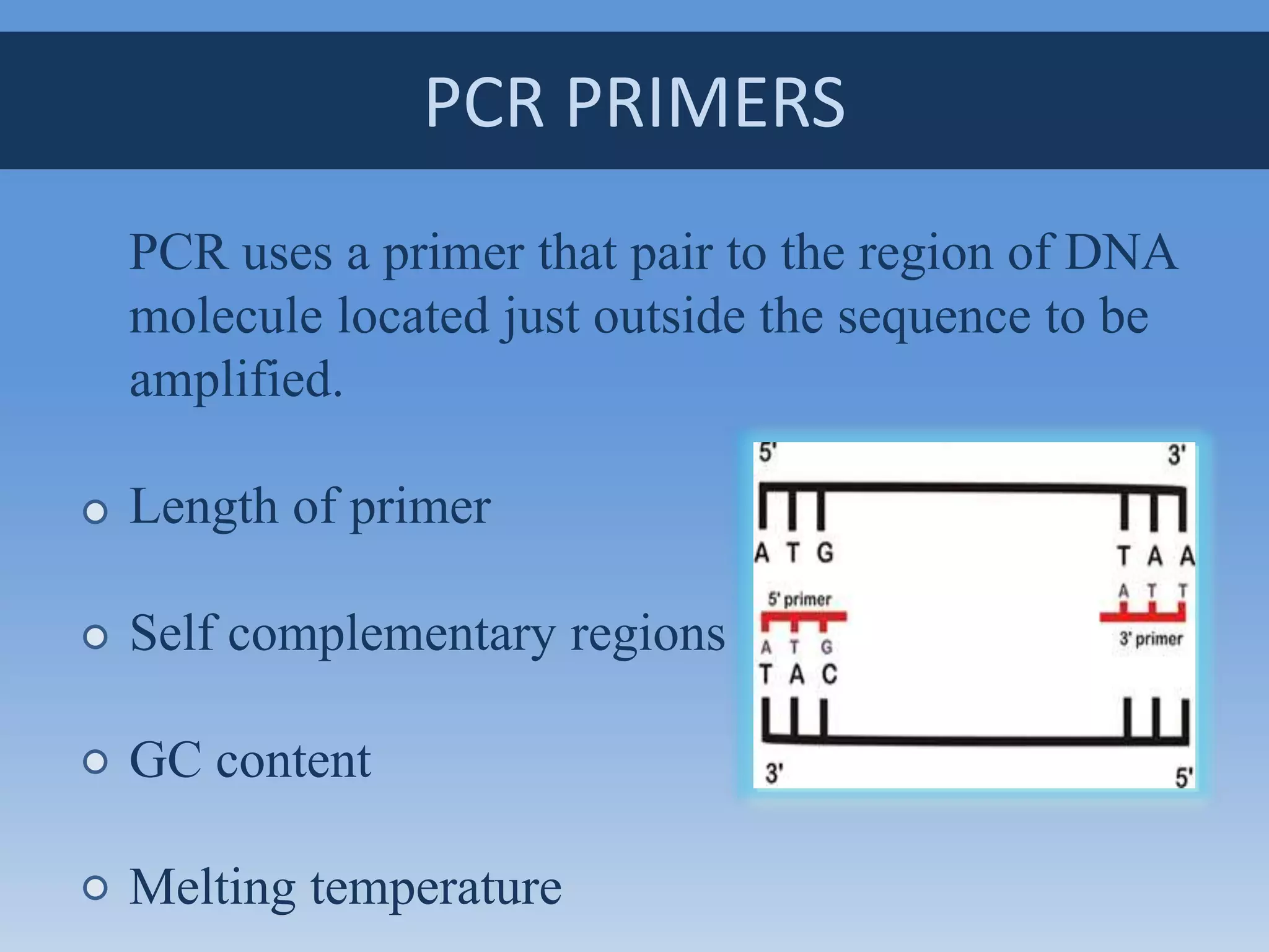 sem4-cdna sythesis,pcr,designing primers for pcr, synthesis of genes ...