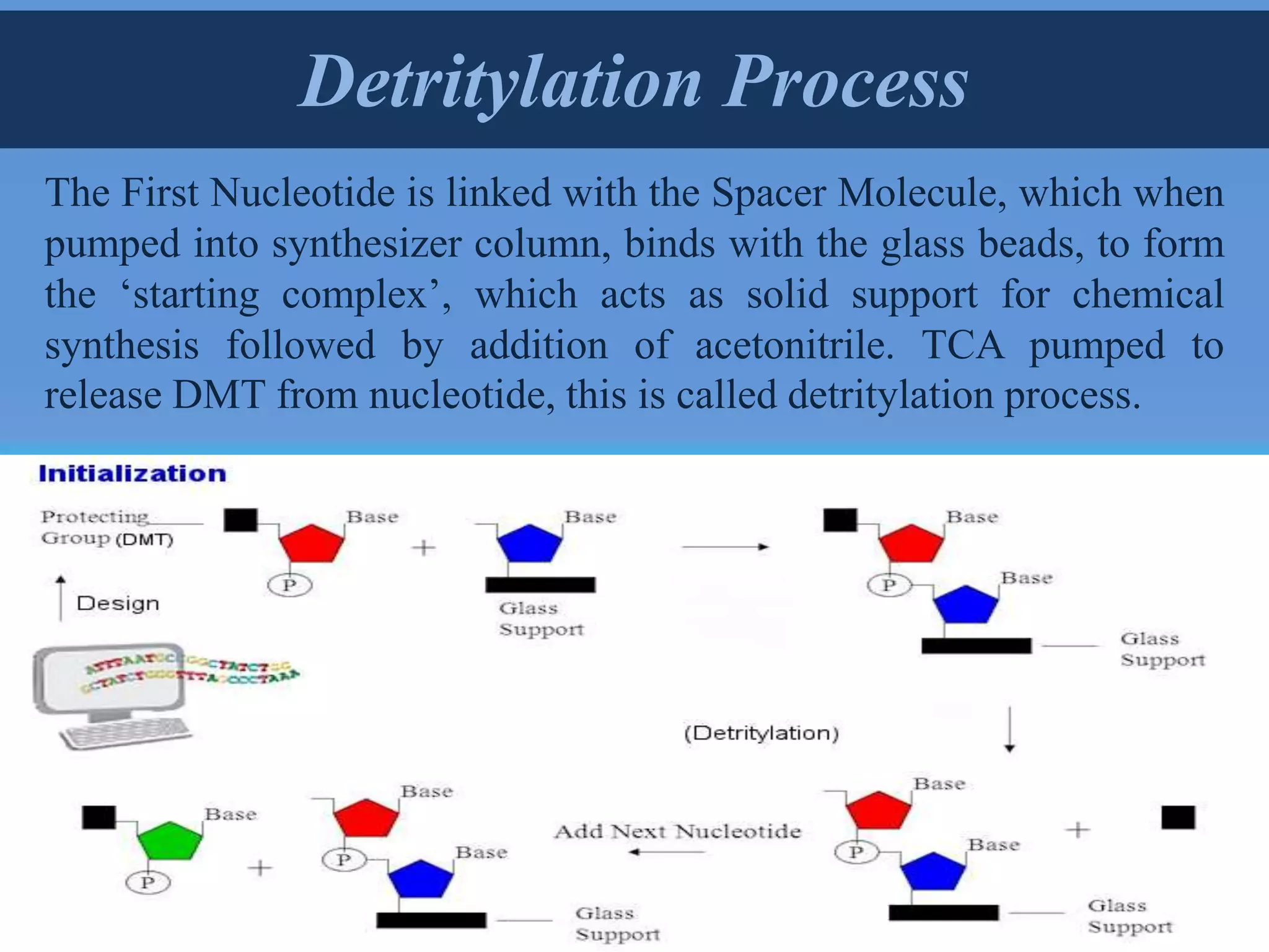 sem4-cdna sythesis,pcr,designing primers for pcr, synthesis of genes ...