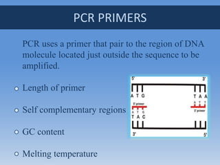 sem4-cdna sythesis,pcr,designing primers for pcr, synthesis of genes ...