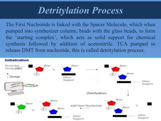 sem4-cdna sythesis,pcr,designing primers for pcr, synthesis of genes ...