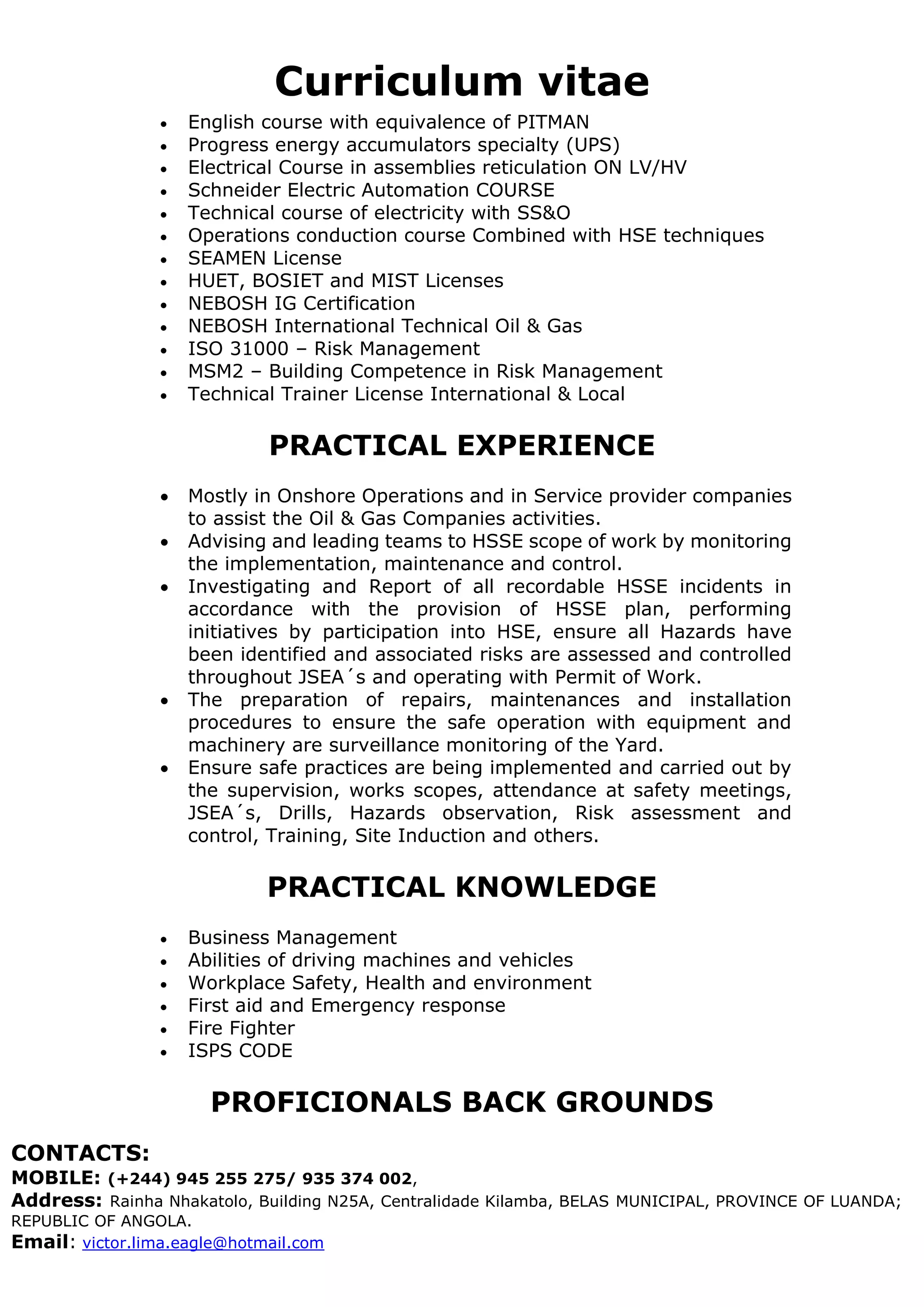 Profecional Curriculum vitae English-2015 | PDF