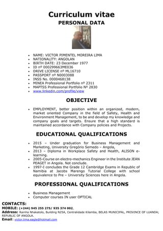 Profecional Curriculum vitae English-2015 | PDF