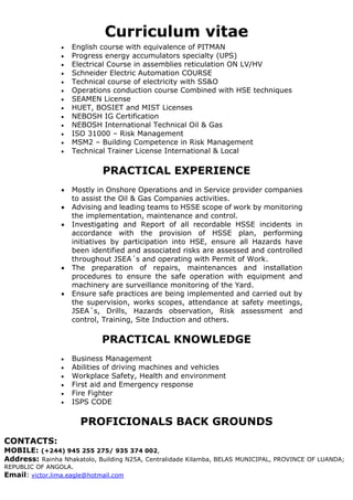 Profecional Curriculum vitae English-2015 | PDF