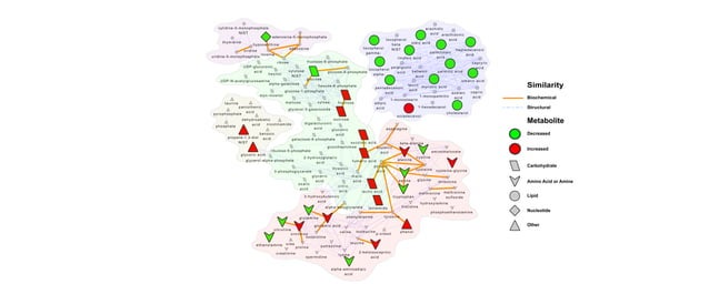 example for cytoscape | PDF
