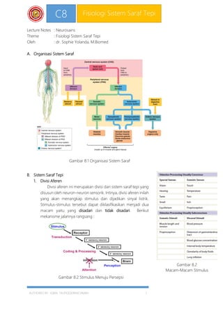C8 Fisiologi Sistem Saraf Tepi | PDF