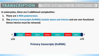C8 l4.pptx bsc botany honours 4th semester | PPTX