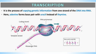 C8 l4.pptx bsc botany honours 4th semester | PPTX