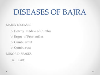 DISEASES OF PEARL MILLET (BAJRA).pptx