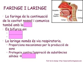 C8 ud2 na3 alumnes | PPS