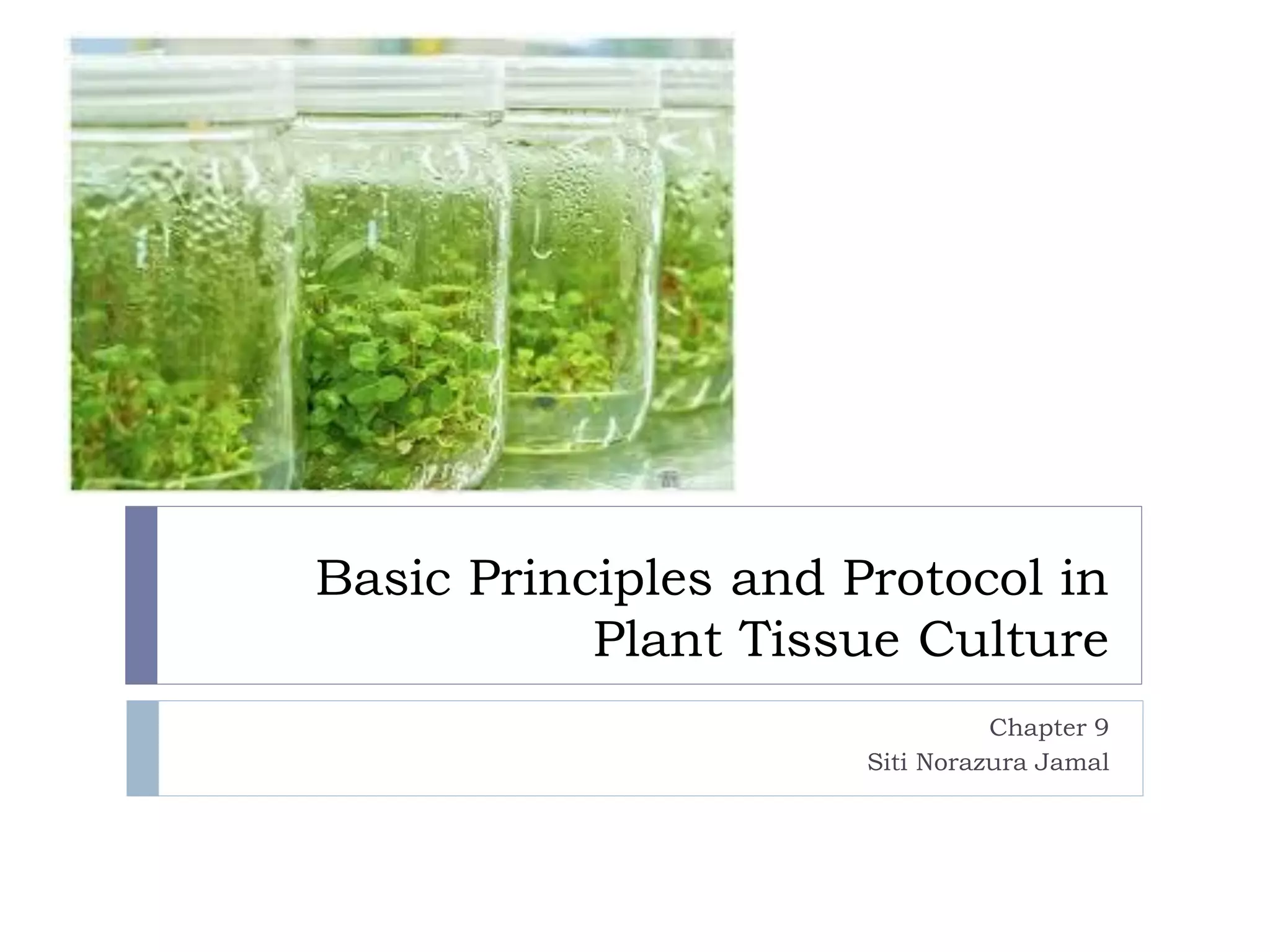 basic principles and protocol in plant tissue culture | PDF