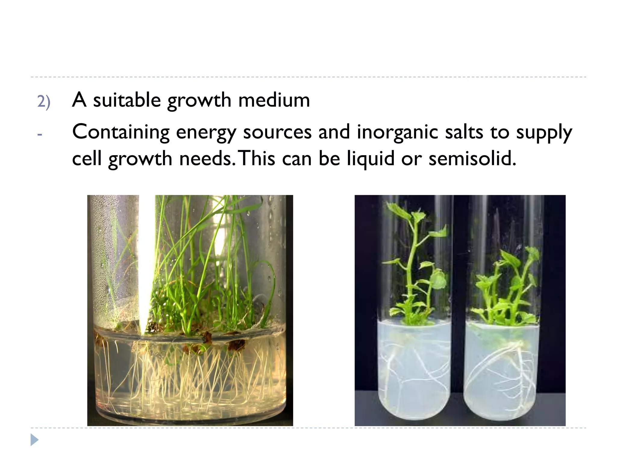 basic principles and protocol in plant tissue culture | PDF