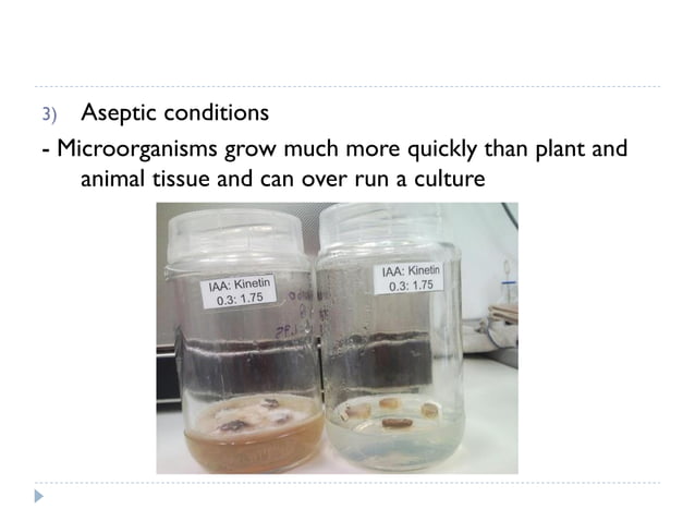 basic principles and protocol in plant tissue culture | PDF