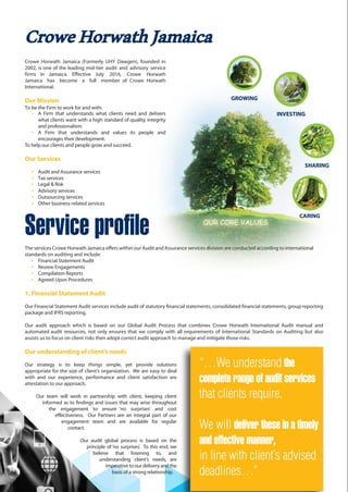 Audit and Assurance Services - Jamaica AAS | PDF