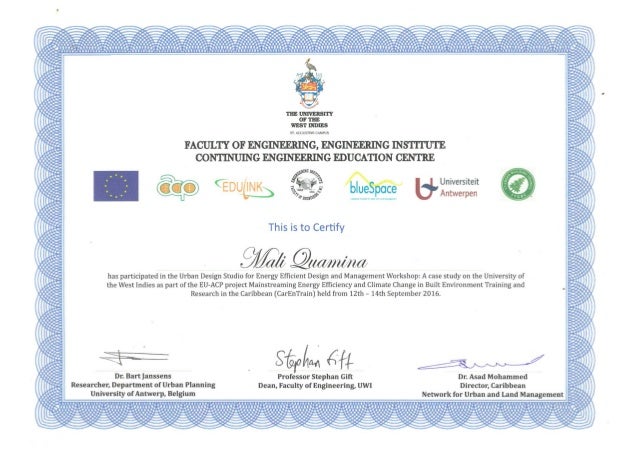Residential Energy Efficiency Certificate Fillable Form - Printable ...