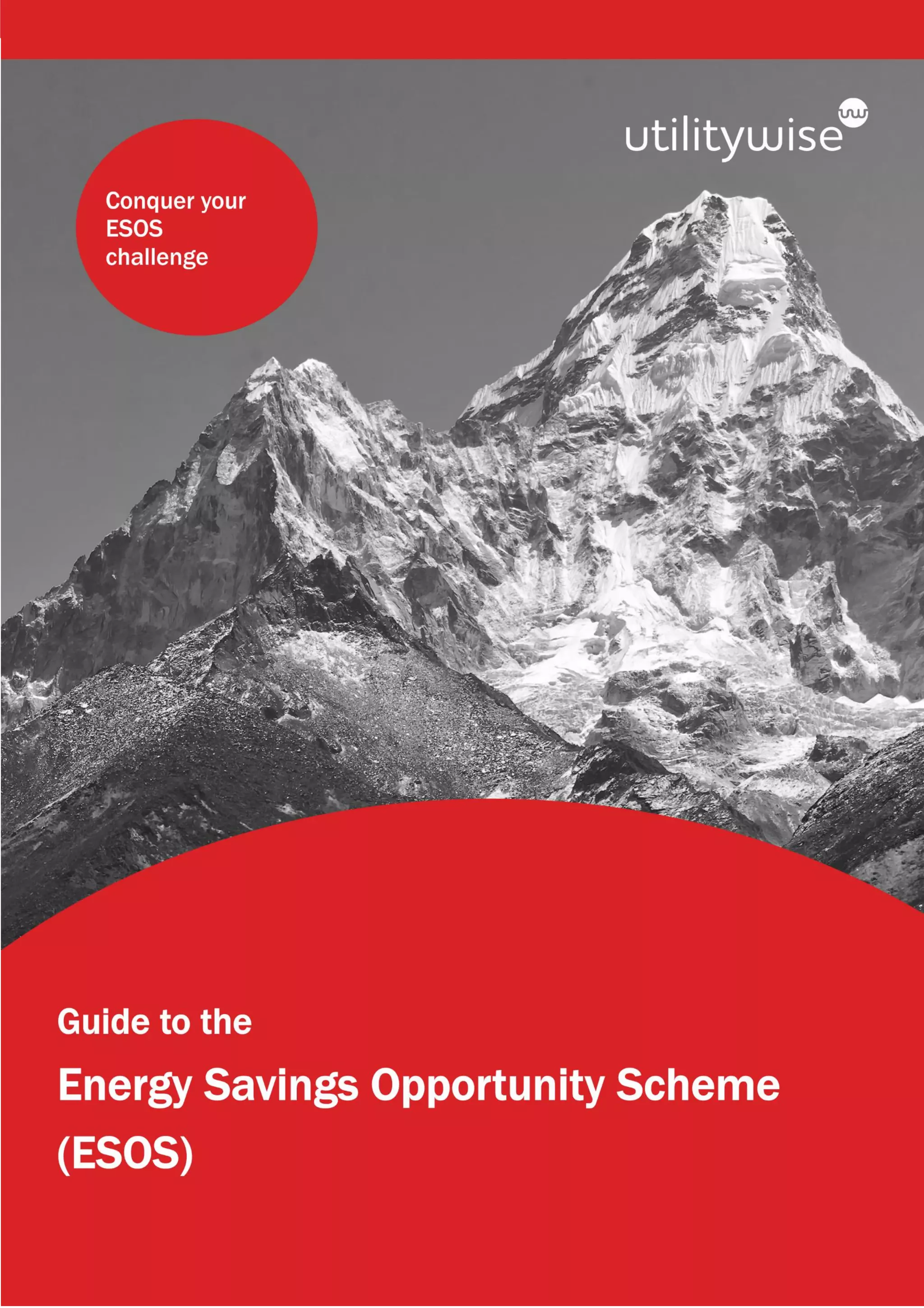 ESOS Guide for LinkedIn | PDF