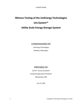 UET Witness Test Report-Public Version | PDF