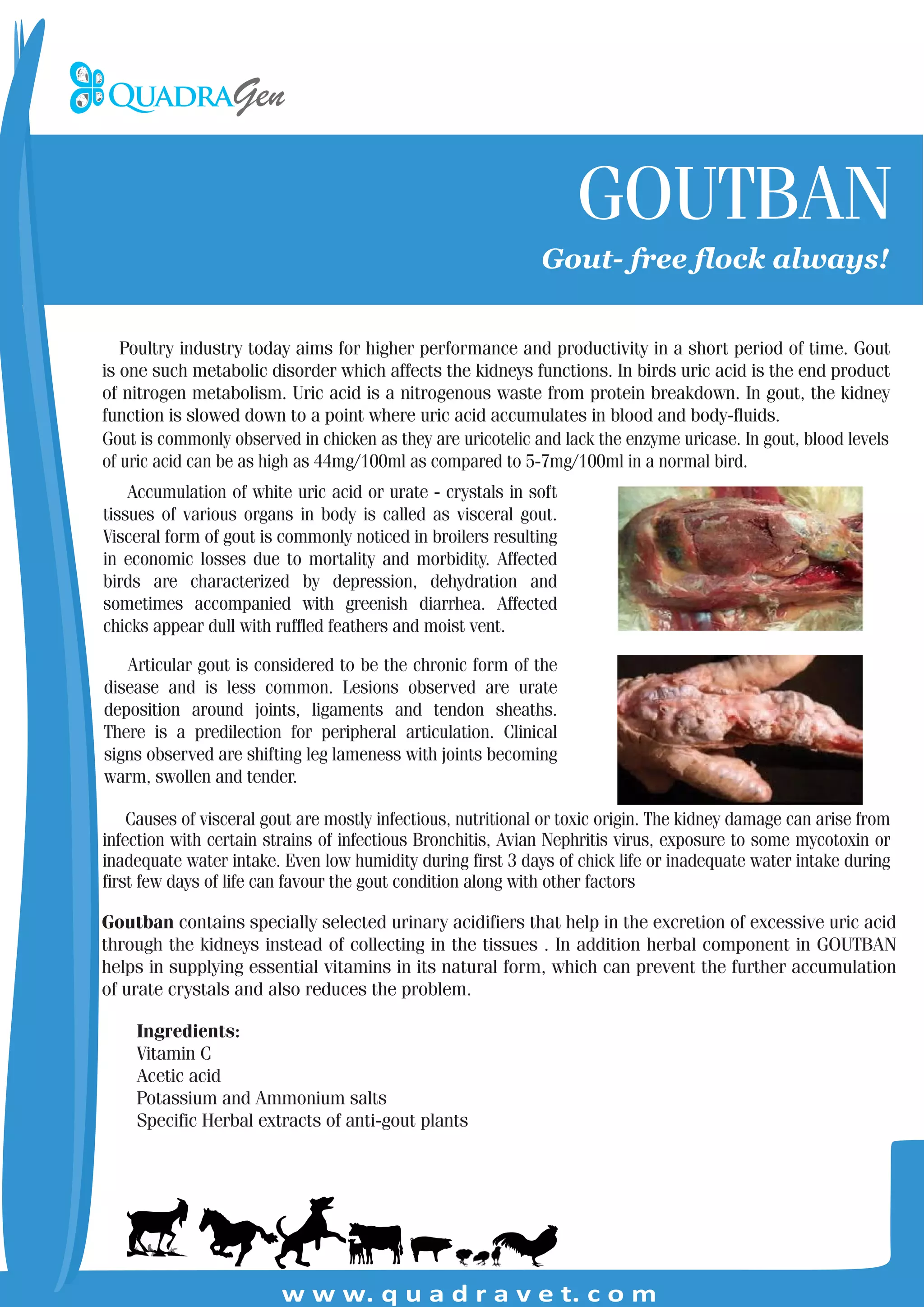 Water additives for poultry 2015 | PDF