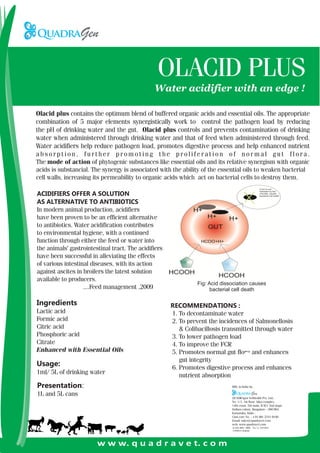 Water additives for poultry 2015 | PDF