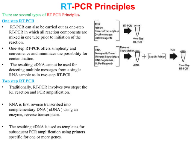 Introduction of RT PCR | PPTX | Chemistry | Science