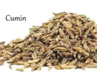 Cumin | PPTX