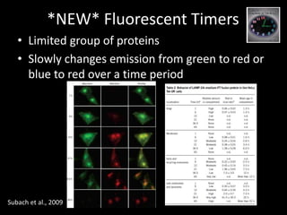 The Colourful World of Fluorescent Proteins | PPTX