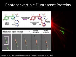 The Colourful World of Fluorescent Proteins | PPTX